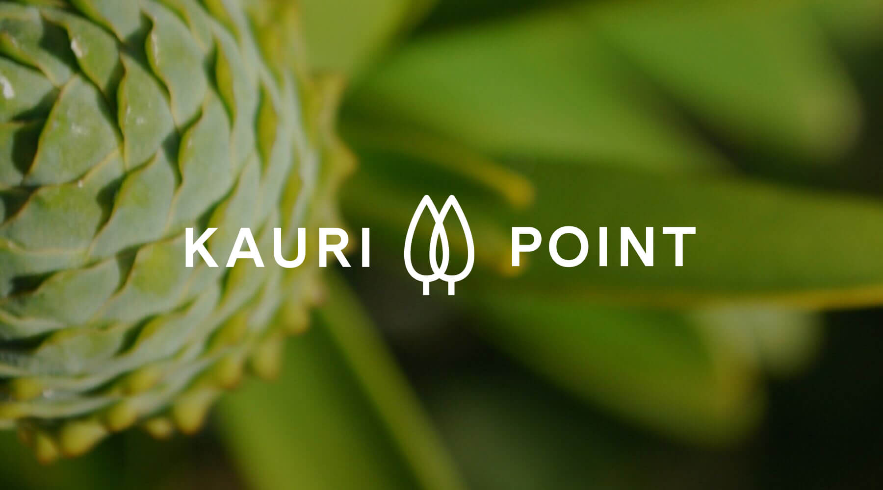 Kauri Point - Homes For Living
